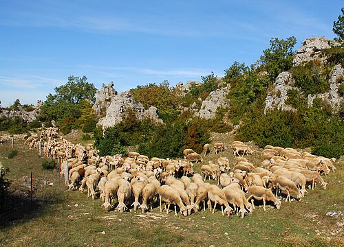 csm_BTA_8500_copie_0a96bce4b1.jpg