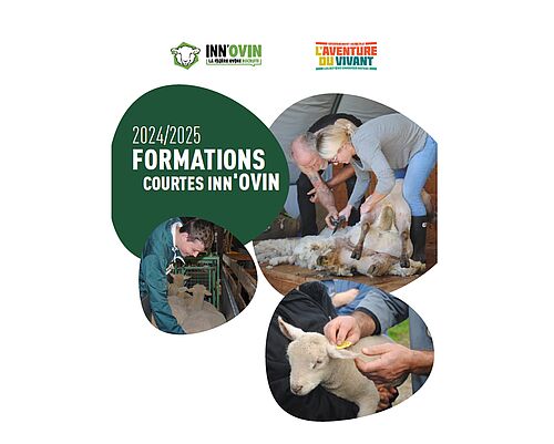 csm_Formations_Inn_Ovin_2025_66f2b8c188.jpg