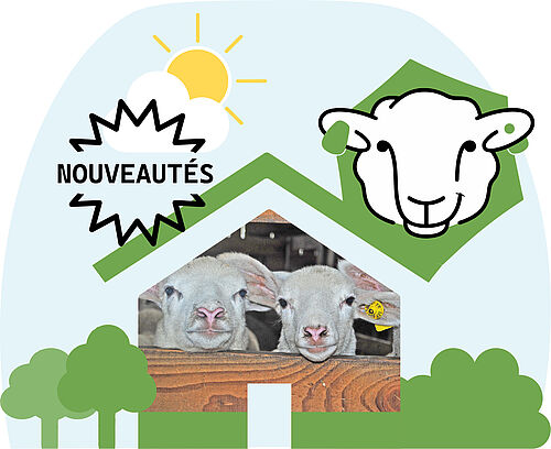 csm_Equip_Innovin_batiment_vignette_Une_Nouveautes_32968ad9e9.jpg