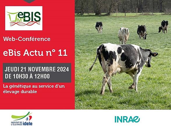 UMT eBIS news n°14