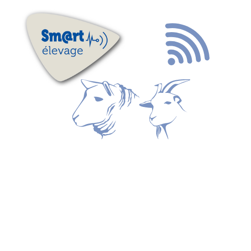 Smart_elevage_petits_ruminants.png